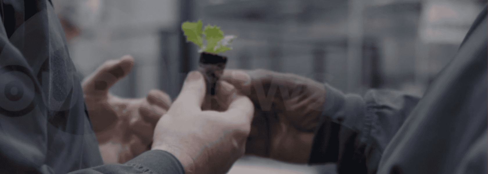 Eeden Farms to Eeden Acres - Our News