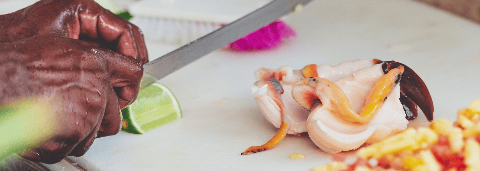 Exuma Resort Boasts 80% Uptick From Regatta - Our News