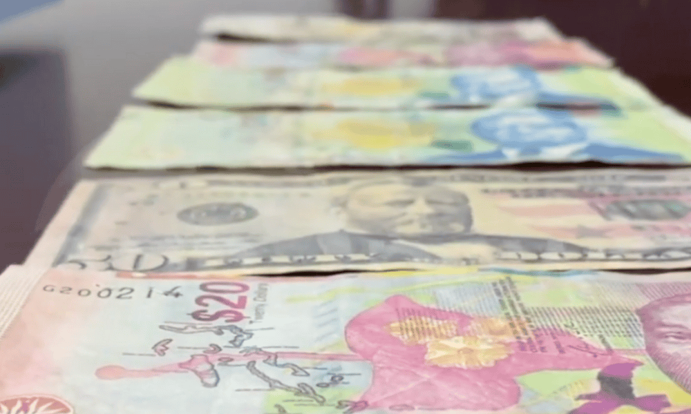 Anti-Money Laundering Training For Non-Profits - Our News