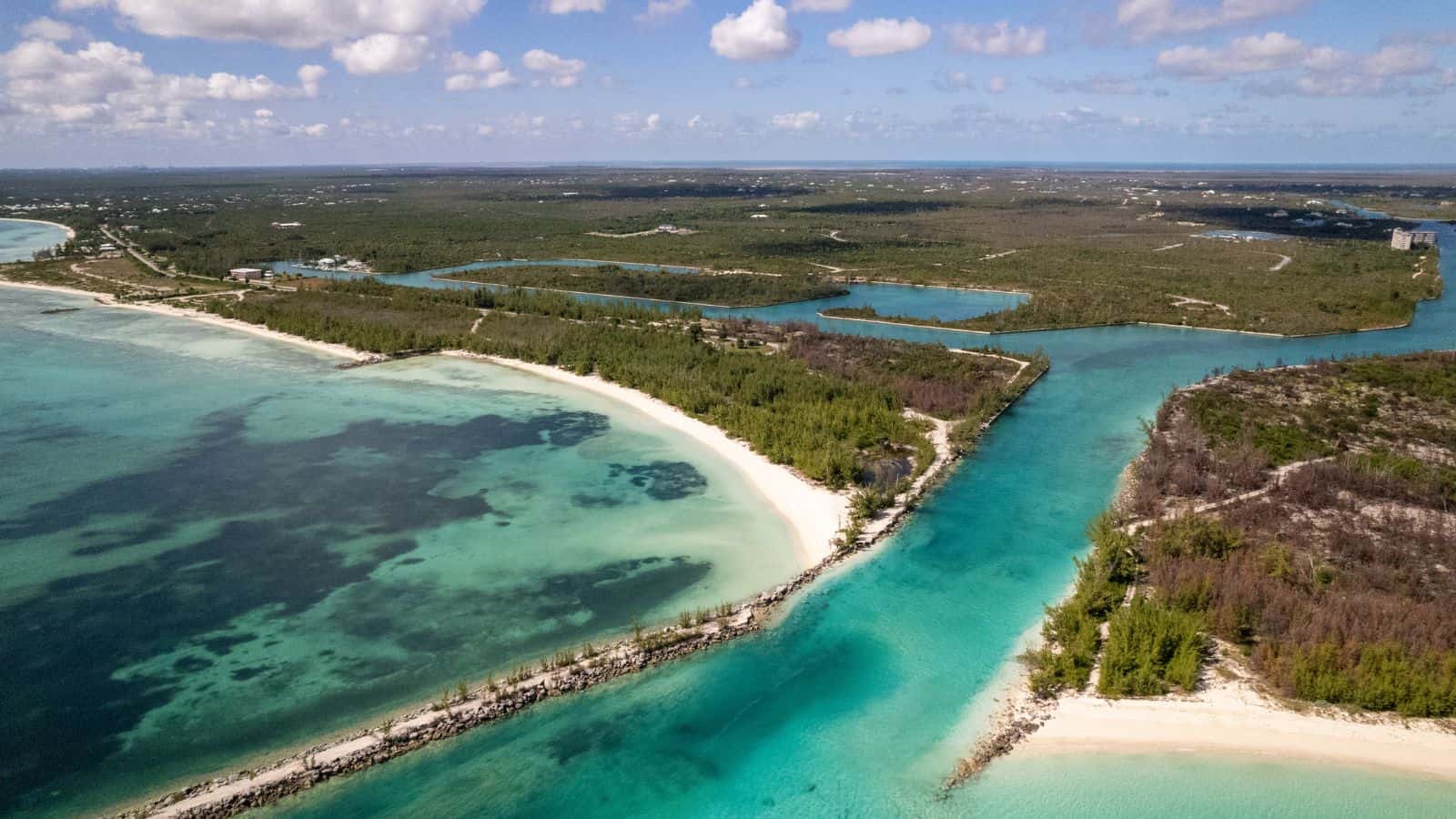 Sustainability First: Hope on The Horizon for Grand Bahama Forests ...