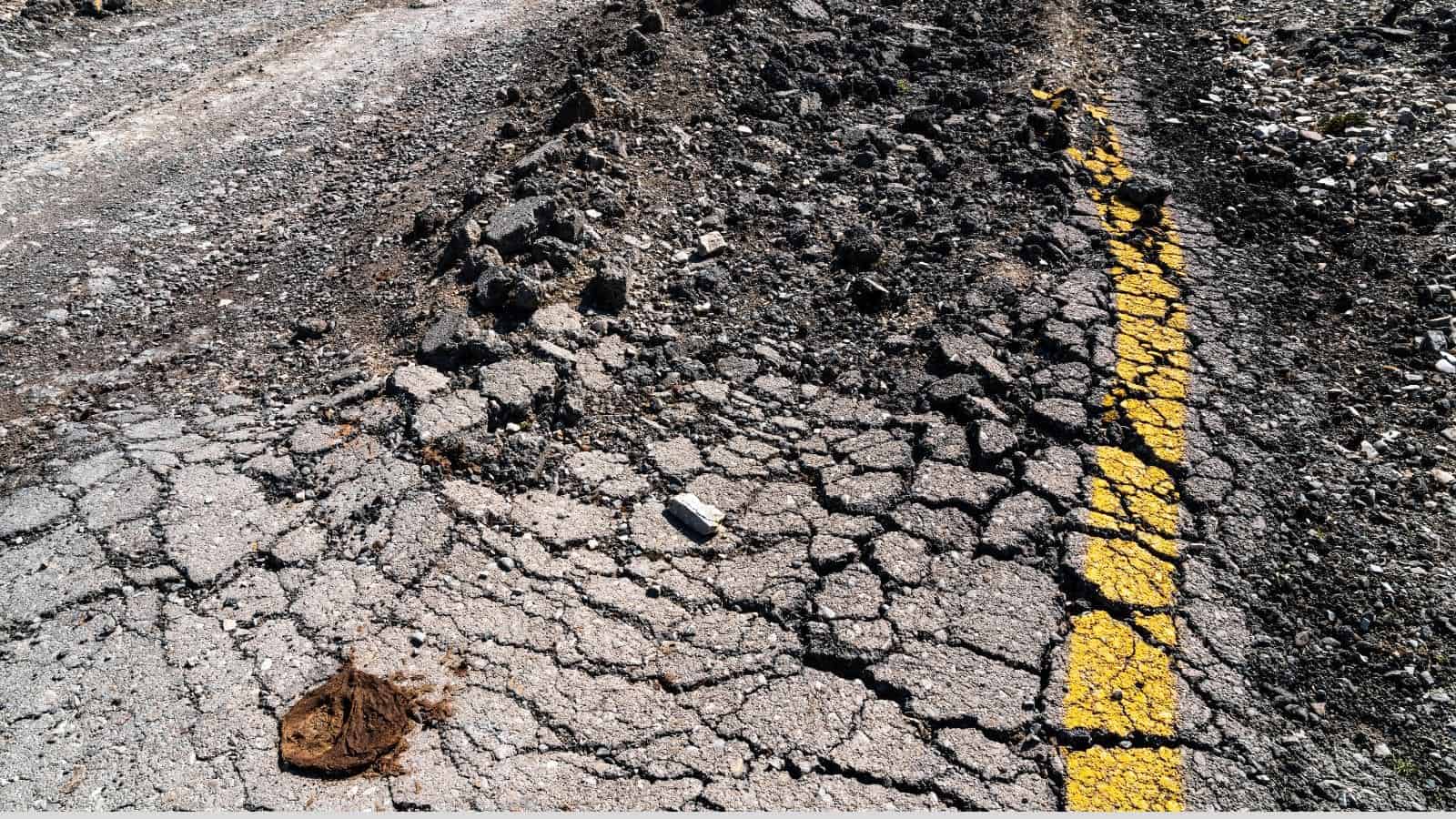 Quake Shakes Northwest Mexico - Our News