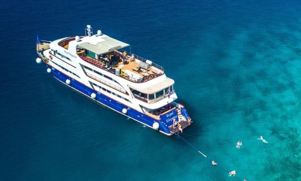 New Speed Boat Tour Launched - Our News