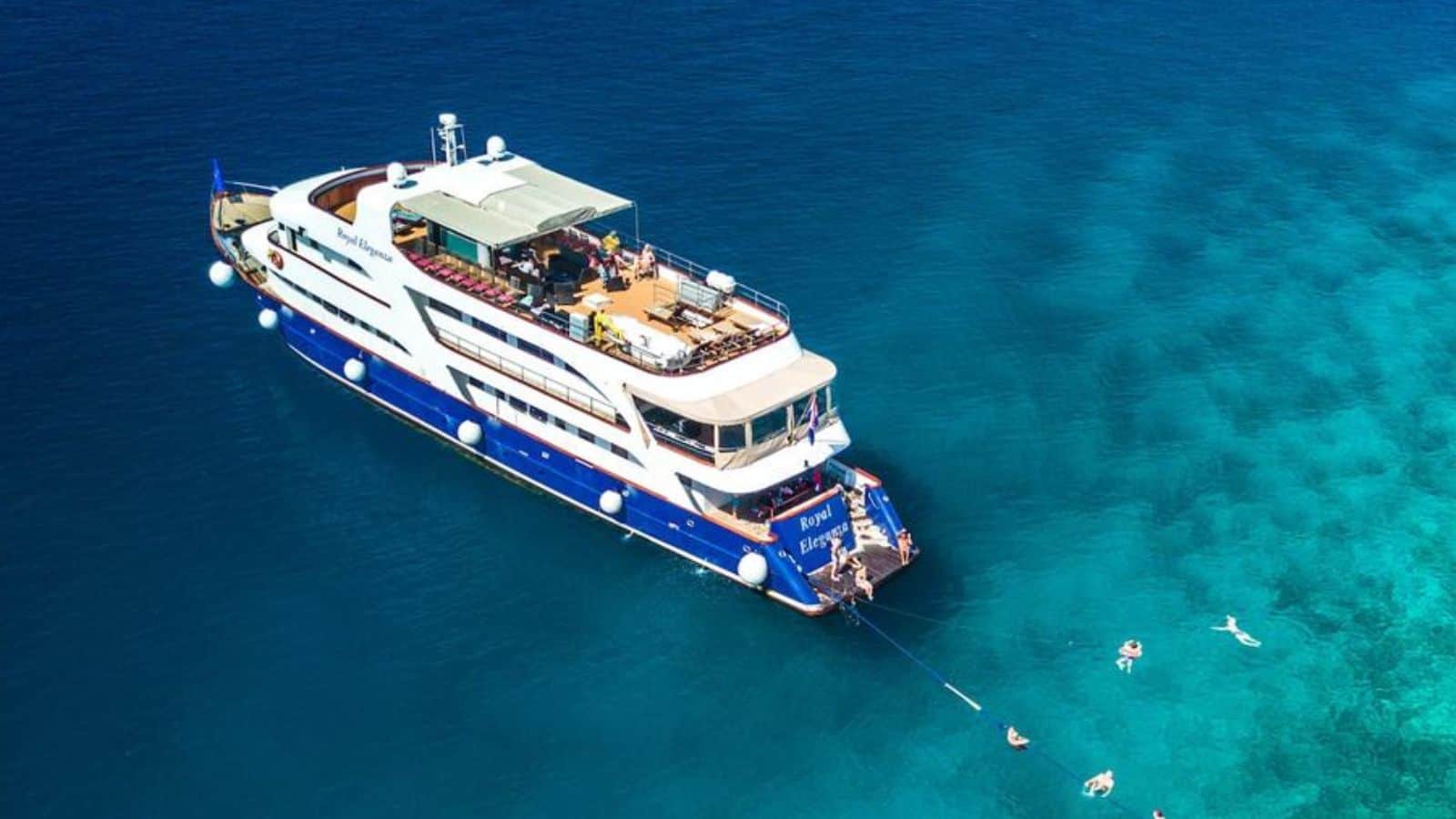 New Speed Boat Tour Launched - Our News