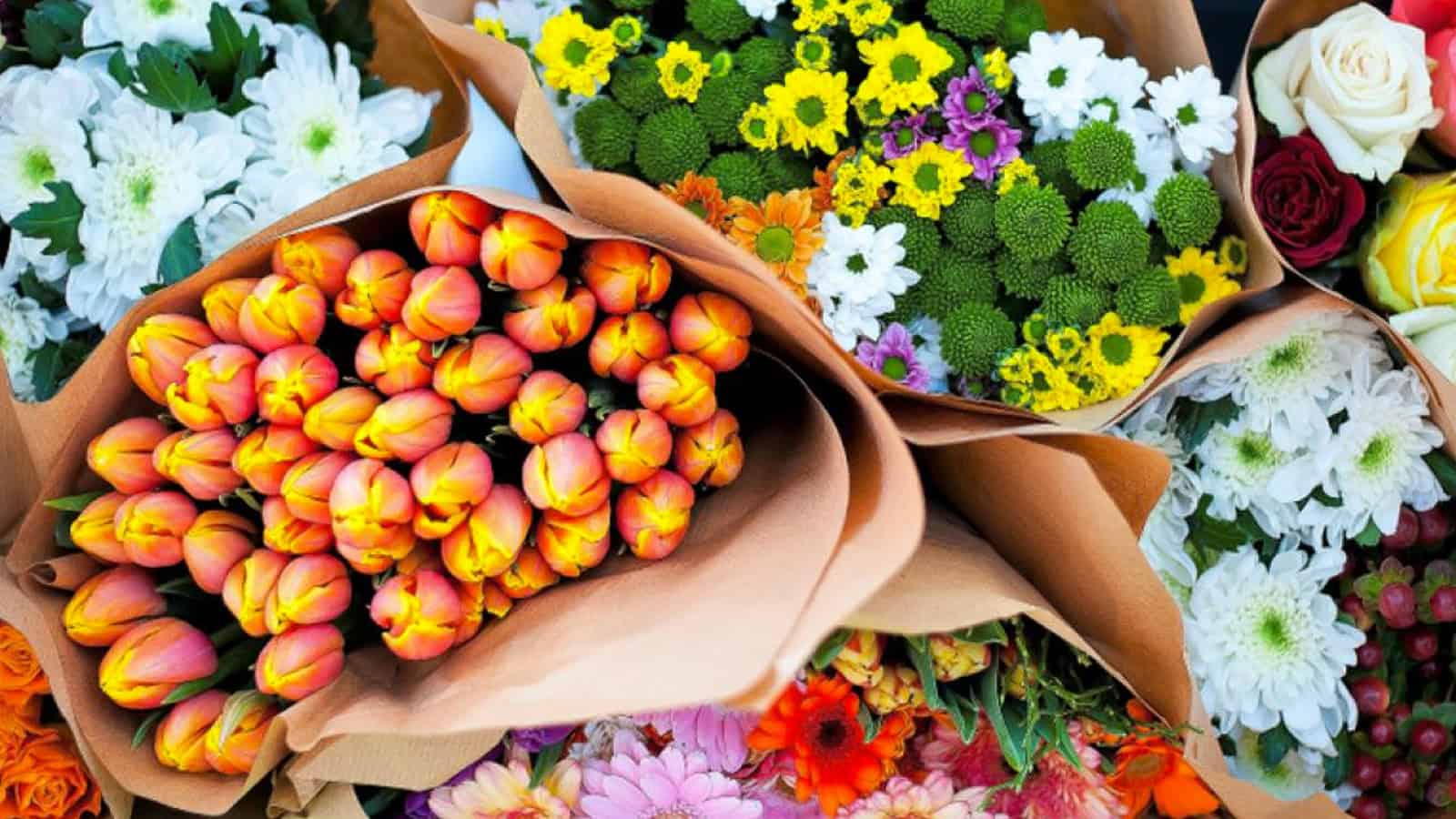 Celebrate Your Loved One - Homegoing & Obituary - Our News