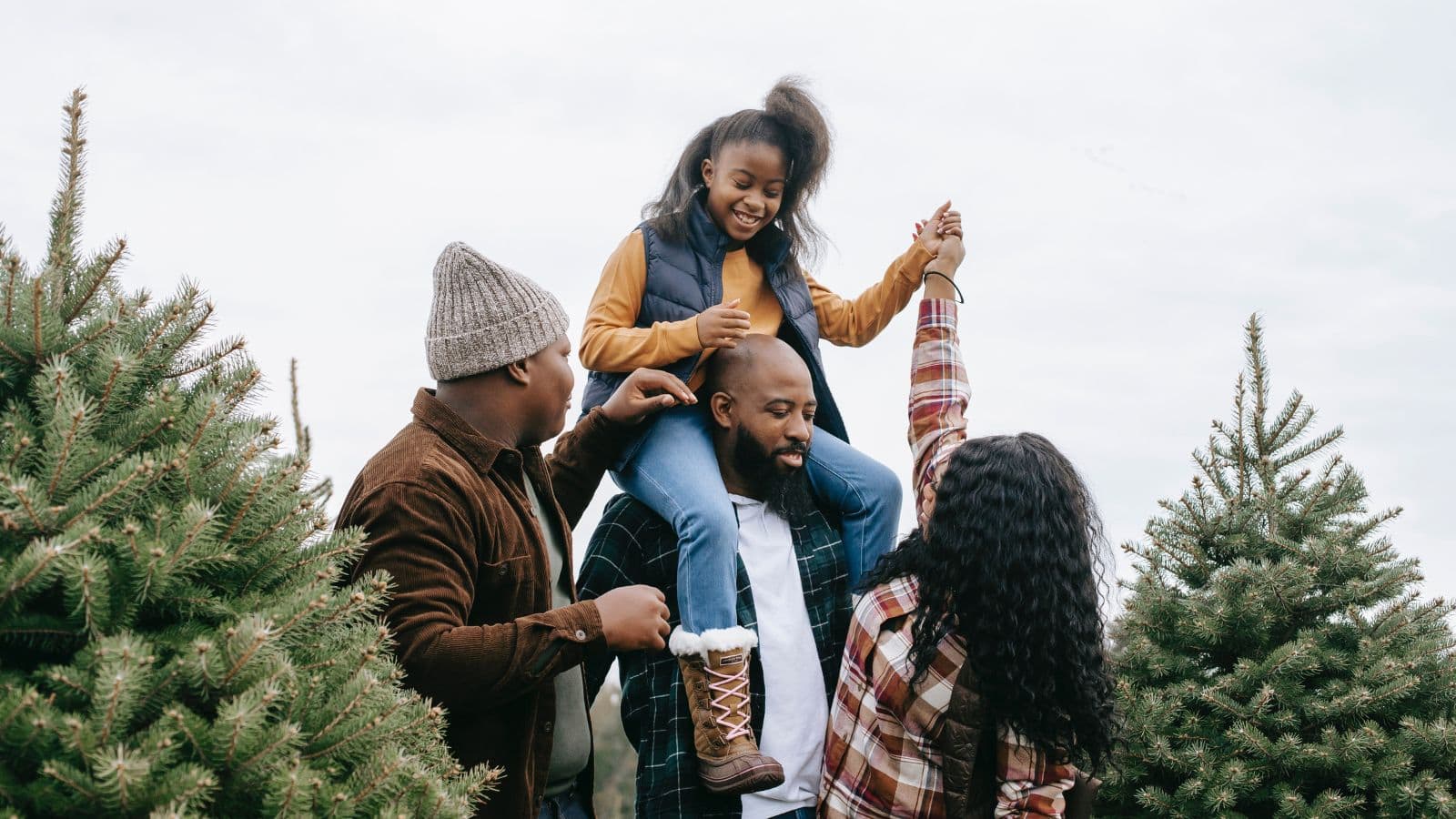 Picking the Perfect Tree - Our News