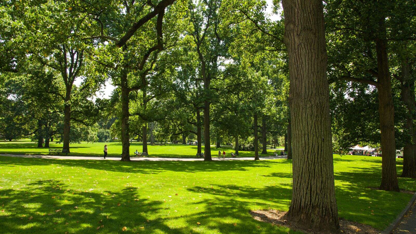 Environment Ministry Creating Green Spaces - Our News