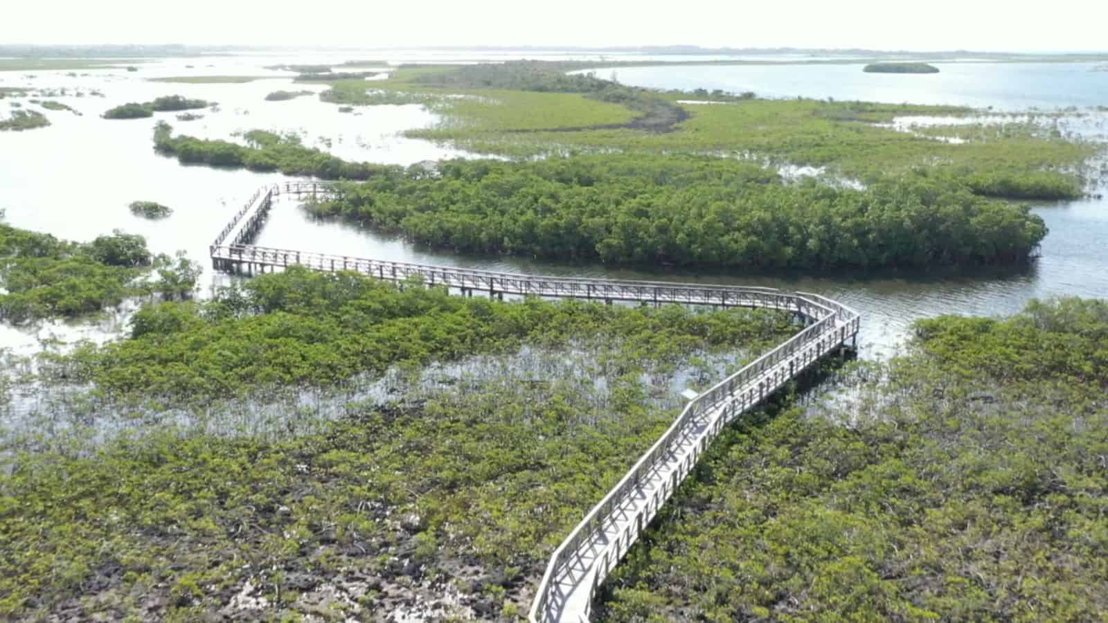 Project to Safeguard Protected Areas - Our News