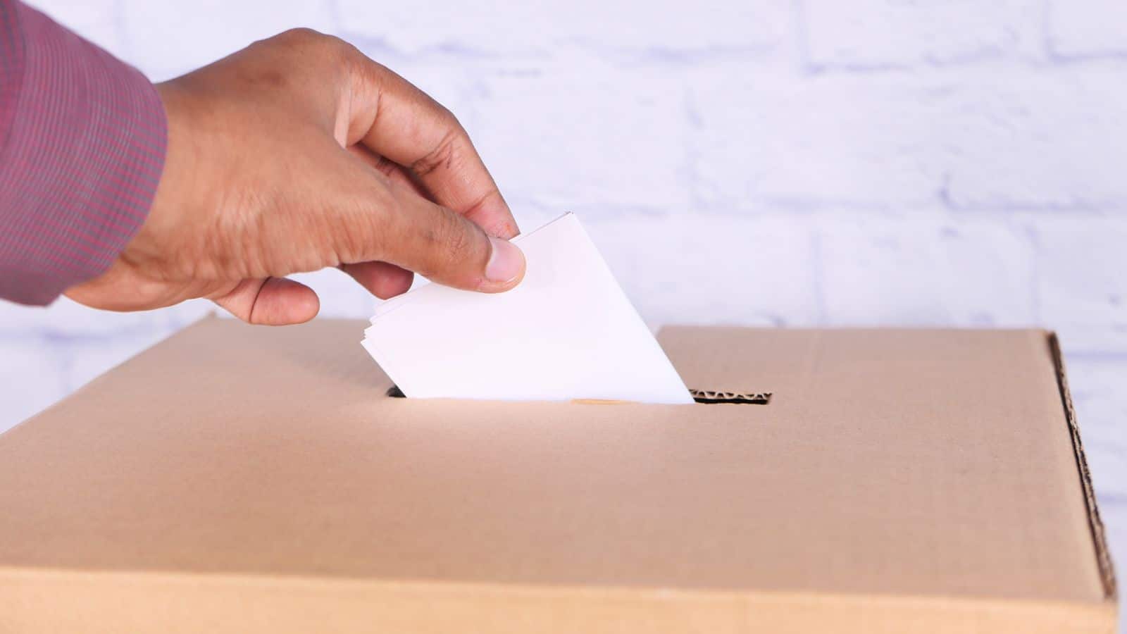 BPL Workers Head To The Polls - Our News