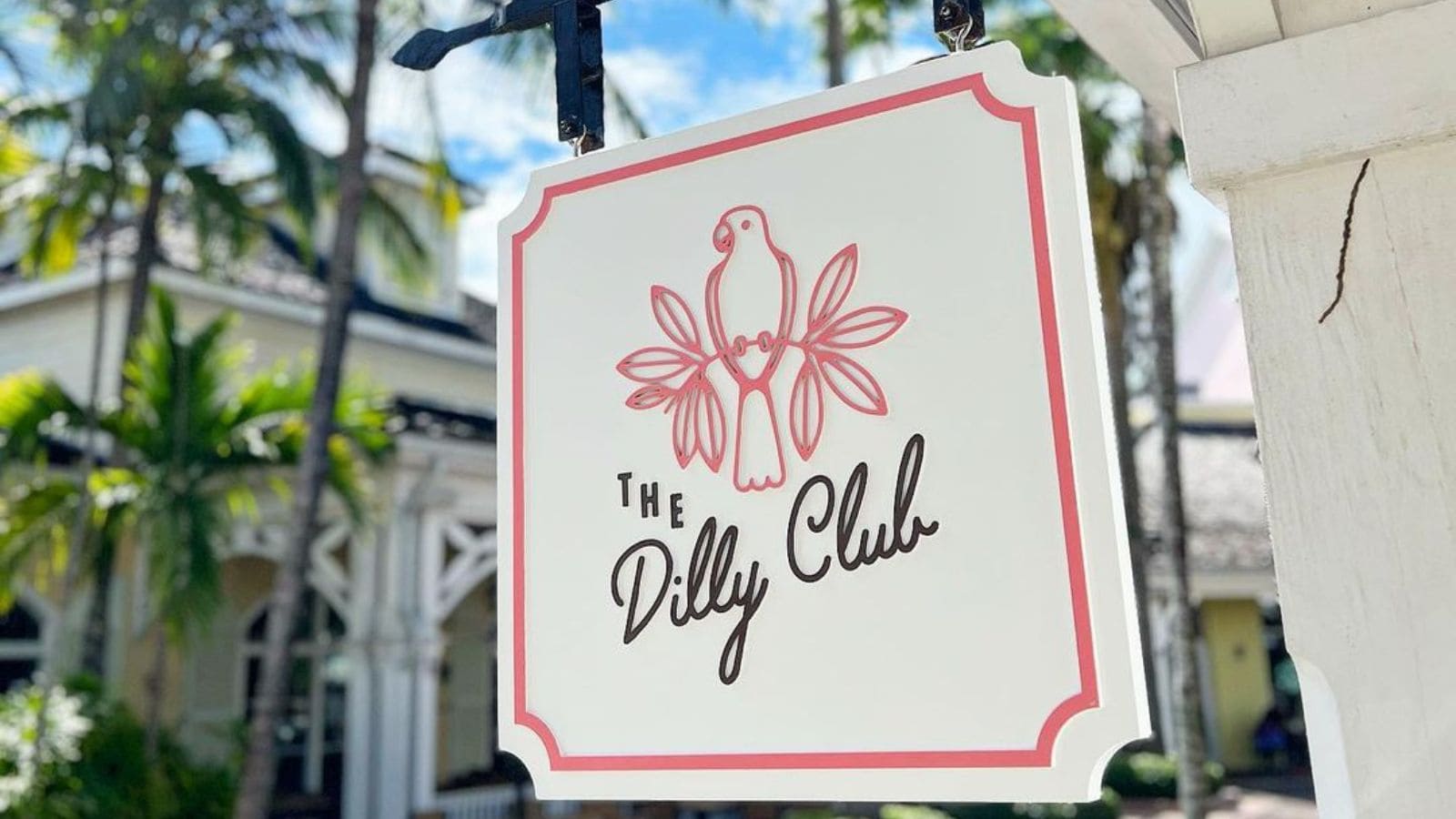 Dilly Club Opening - Our News