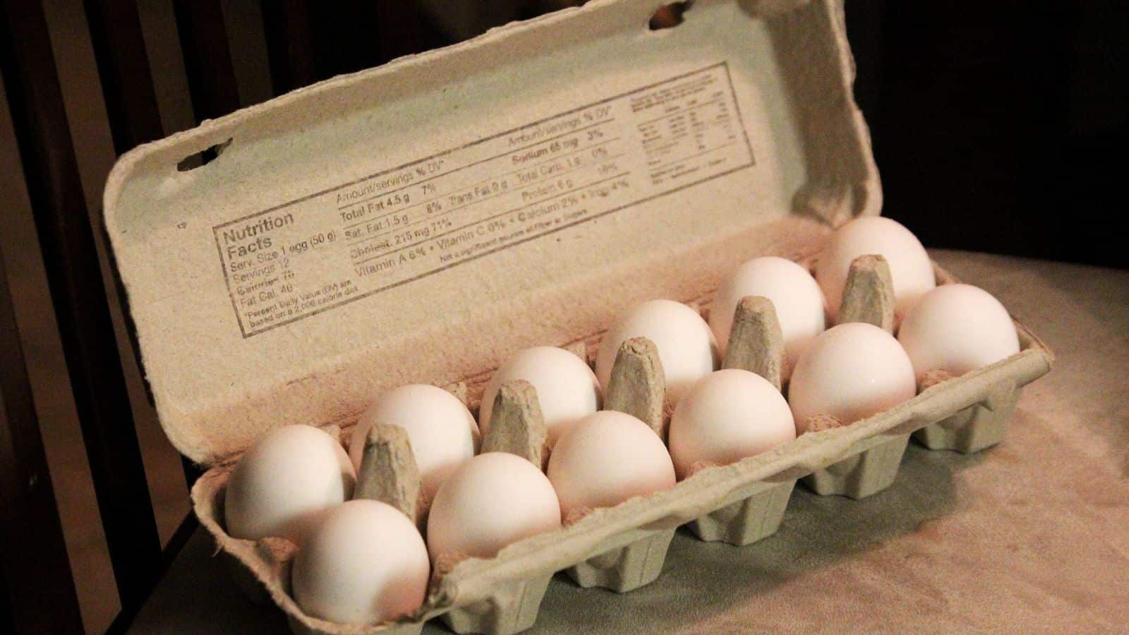 NGO Pushes for Egg Price Investigation - Our News