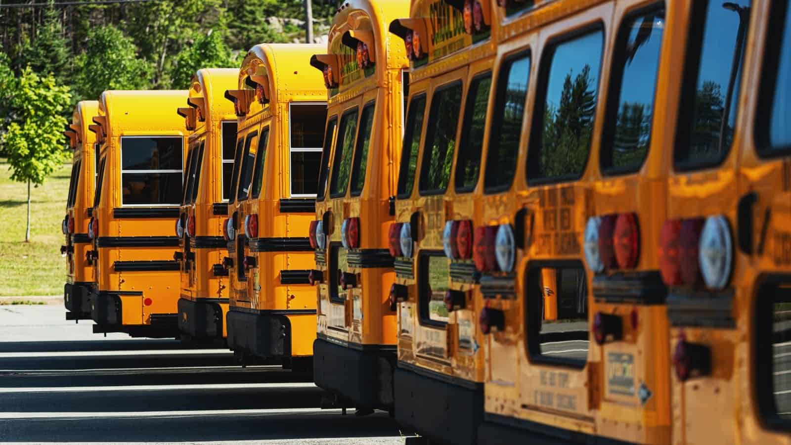 Students Will Pay Fare For School Bus Program - Our News