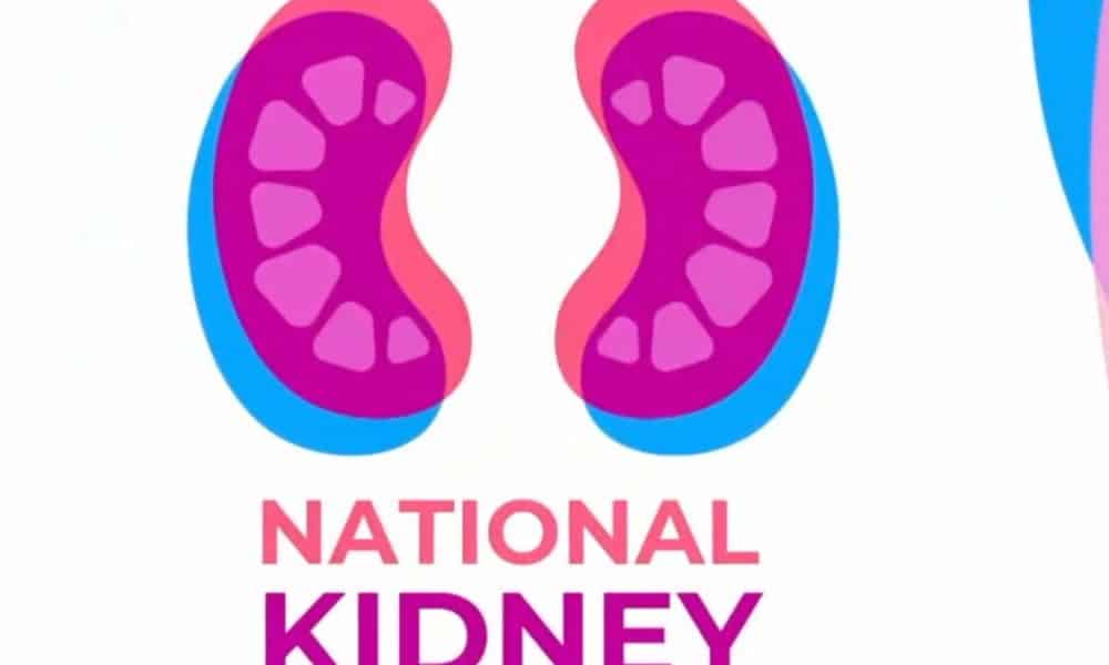 Kidney Association Outlines Plans for Kidney Month - Our News