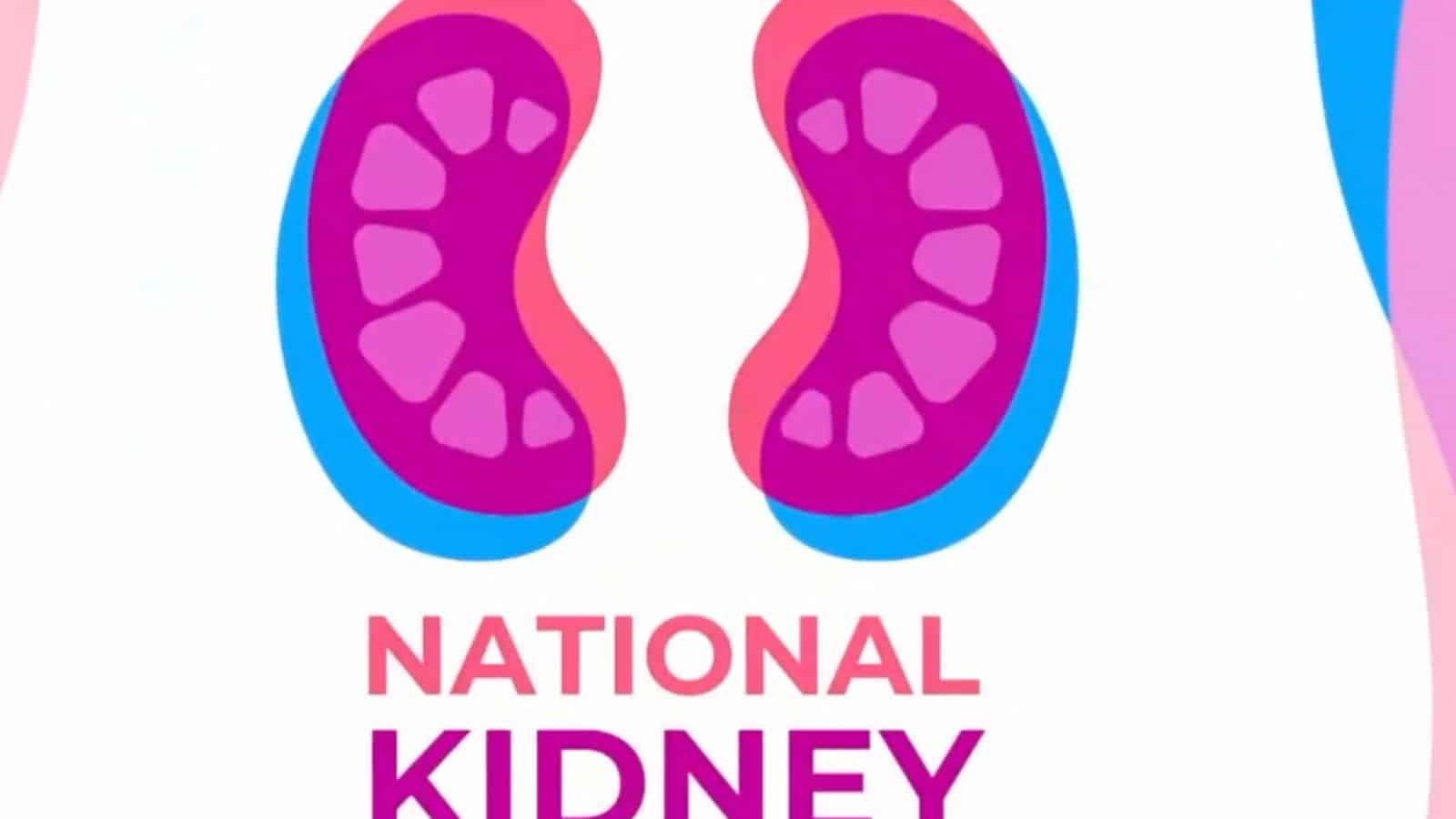 Kidney Association Outlines Plans for Kidney Month - Our News