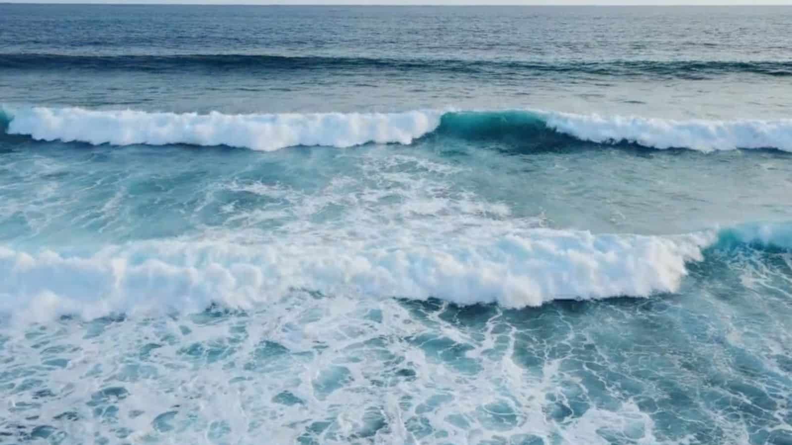 Our Ocean, Our Connection - Our News