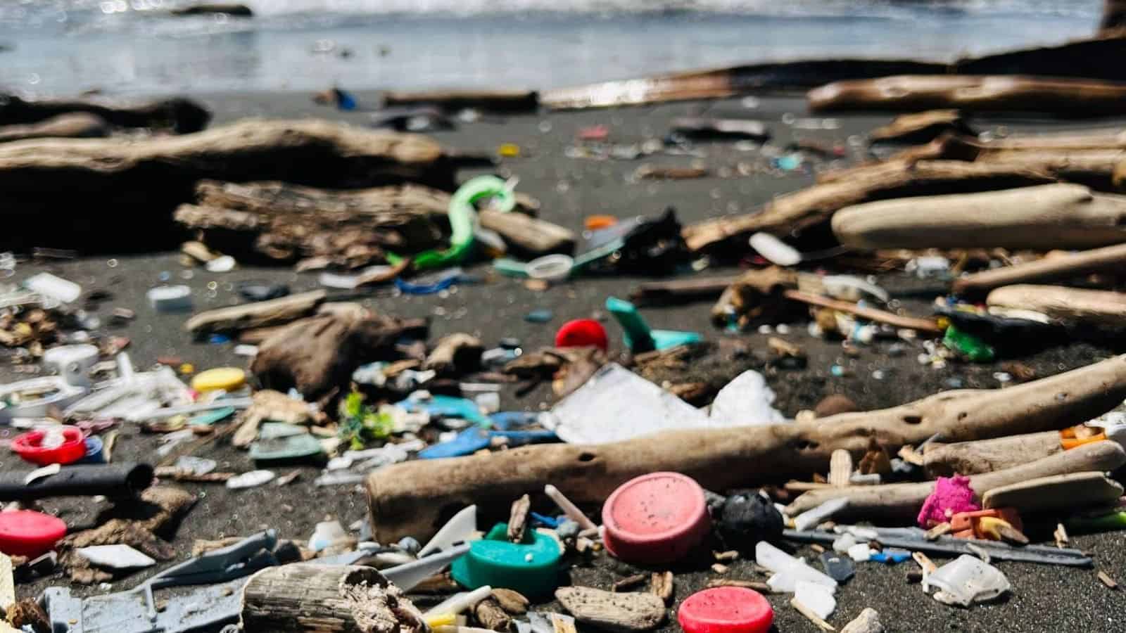 Chipping Away At The Plastic Problem - Our News