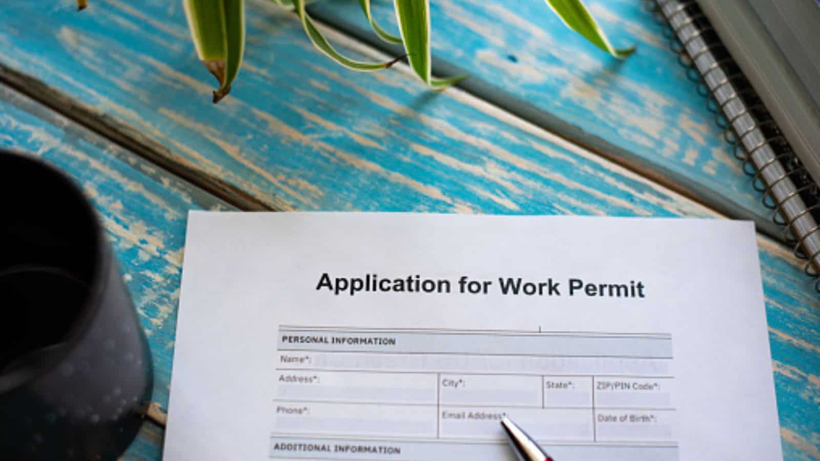 Labour Min: Govt. Not Issuing New Work Permits - Our News