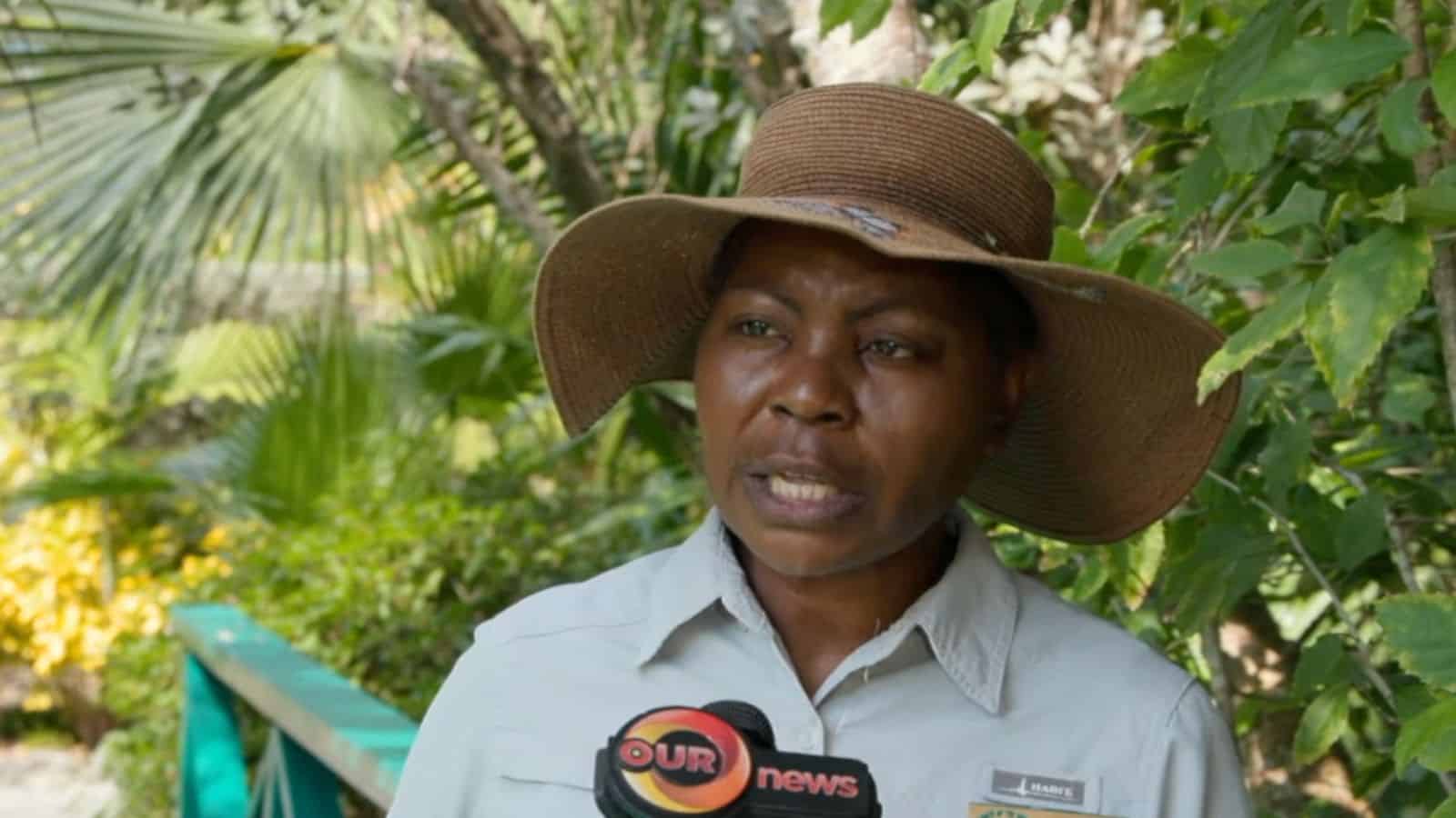 Garden Of The Groves Celebrates 50 Years As Staple - Our News