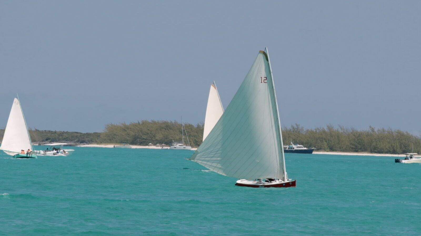 Ruff Justice Wins Prime Minister's Cup in Exuma - Our News