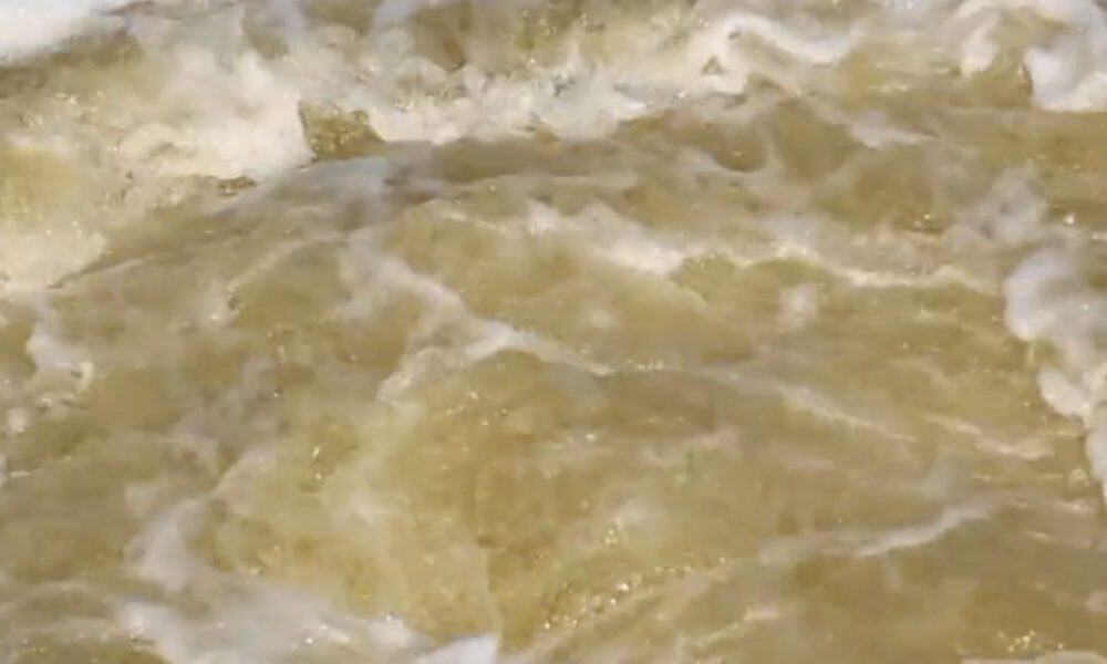 Sustainability First: Wastewater, The Warning Signs - Our News
