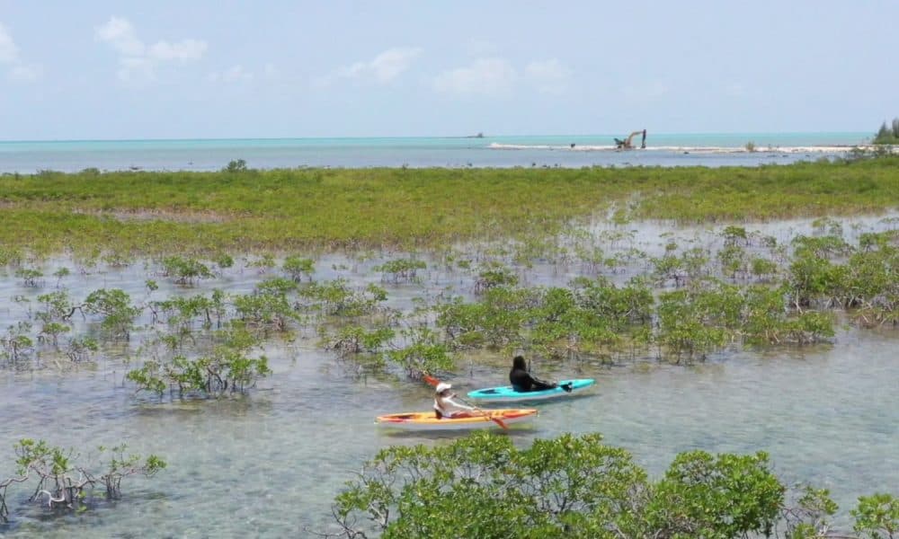"Mangrove Kayaking at Bonefish Pond" - Our News