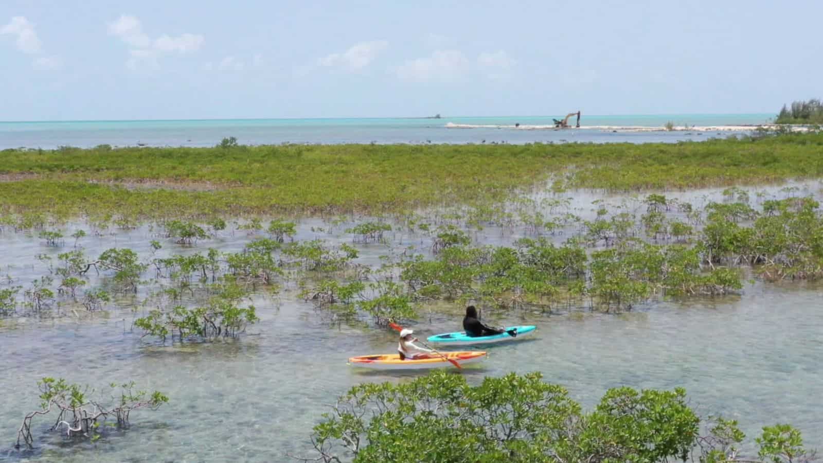 "Mangrove Kayaking at Bonefish Pond" - Our News