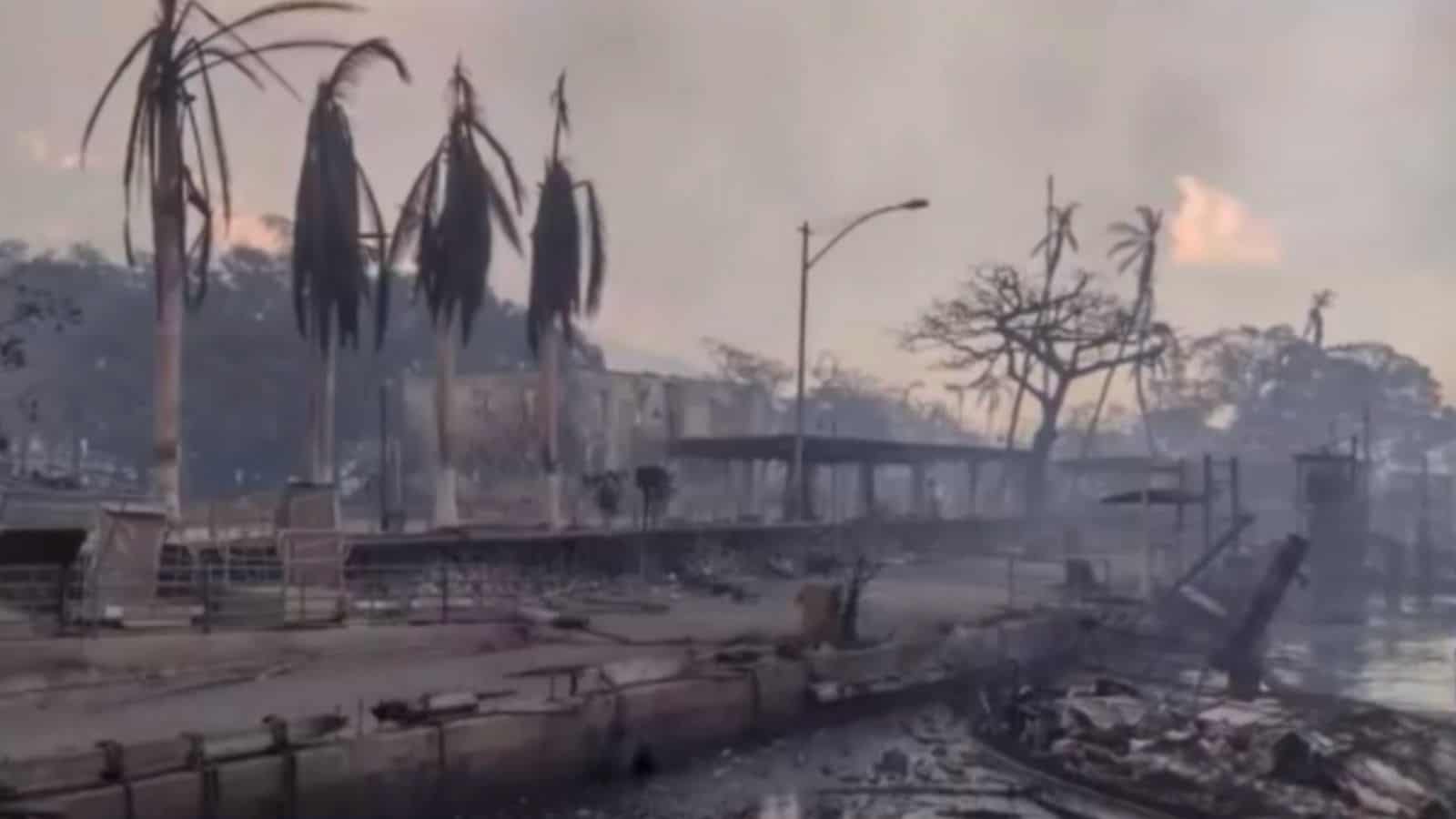 Maui Wildfire Kills Dozens; Survivors Flee Into Ocean - Our News