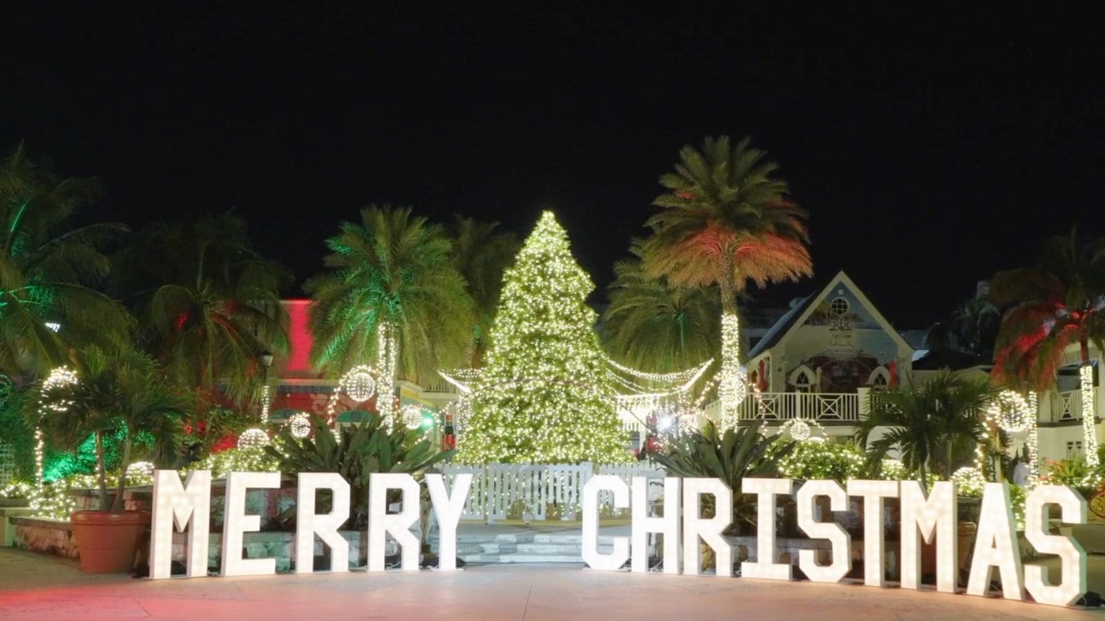 What Is A December To Remember Christmas Experience? - Our News
