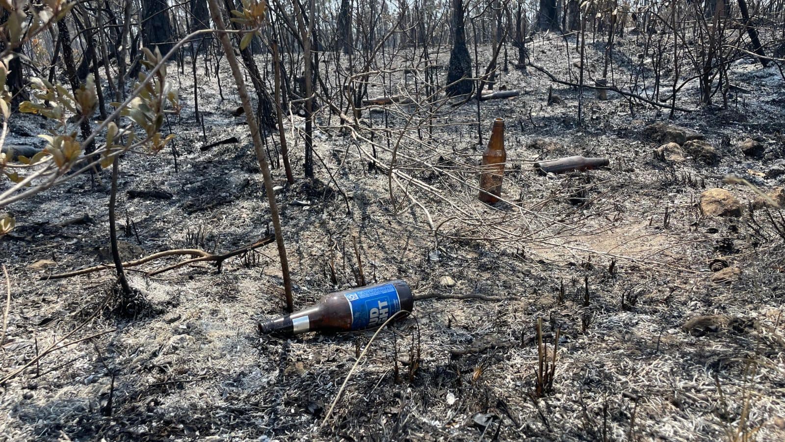 Fire Chief Suspects Discarded Bottles Sparked West NP Bushfire - Our News