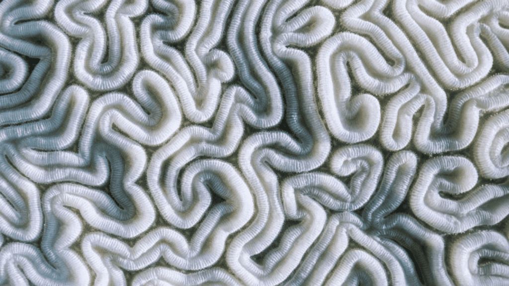 Embracing Summer Amidst the Reality of Global Warming: A Call to Action ...