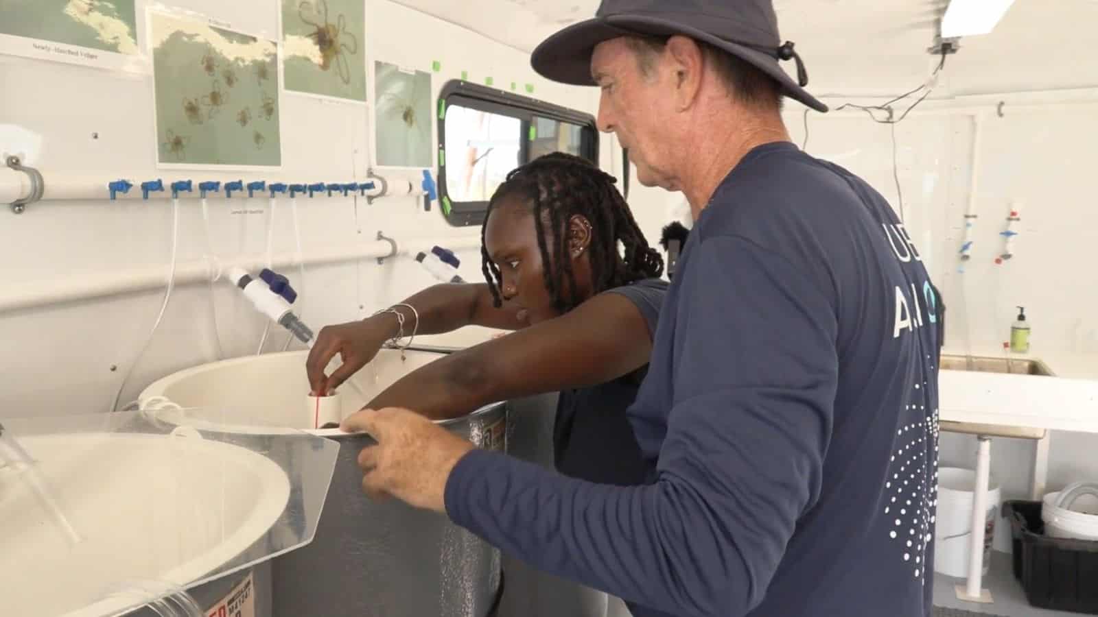 Sustainability First: Blue Action Lab Works to Restore Conch Numbers ...