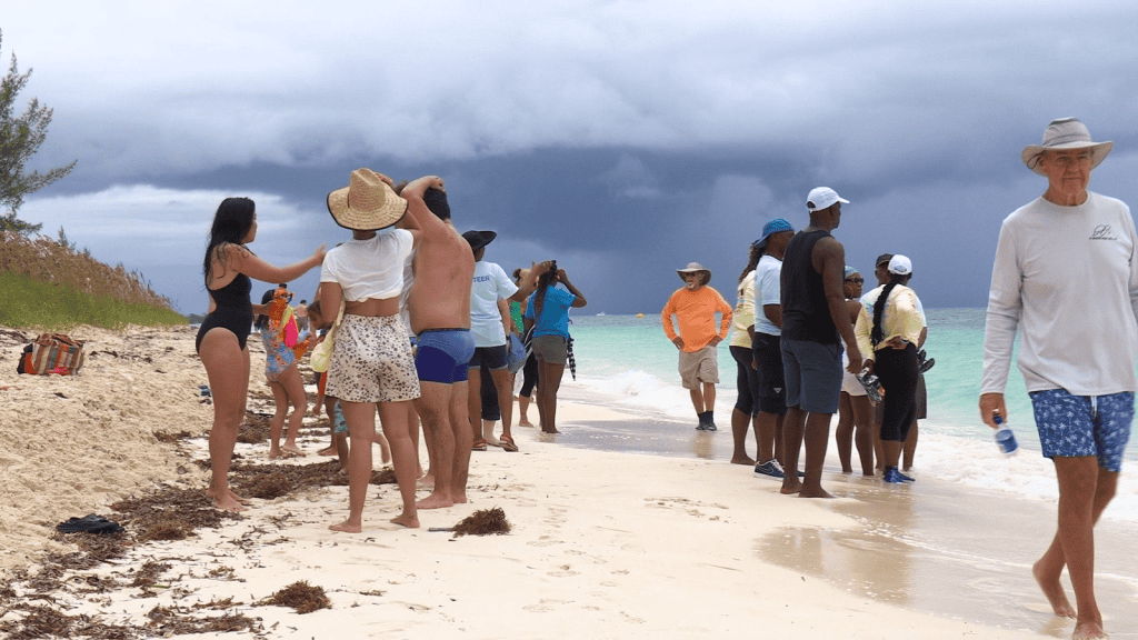 Bernie Butler Swim Attracts Hundreds Despite Weather - Our News