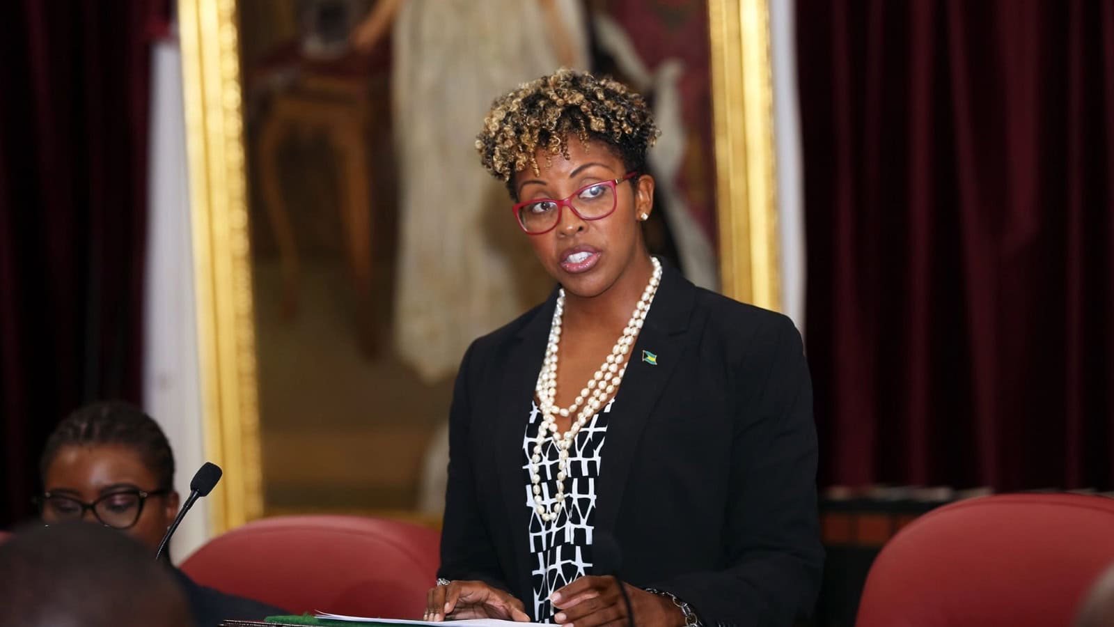 Senator Michela Barnett-Ellis: Seeing A Woman Vye for President Is ...