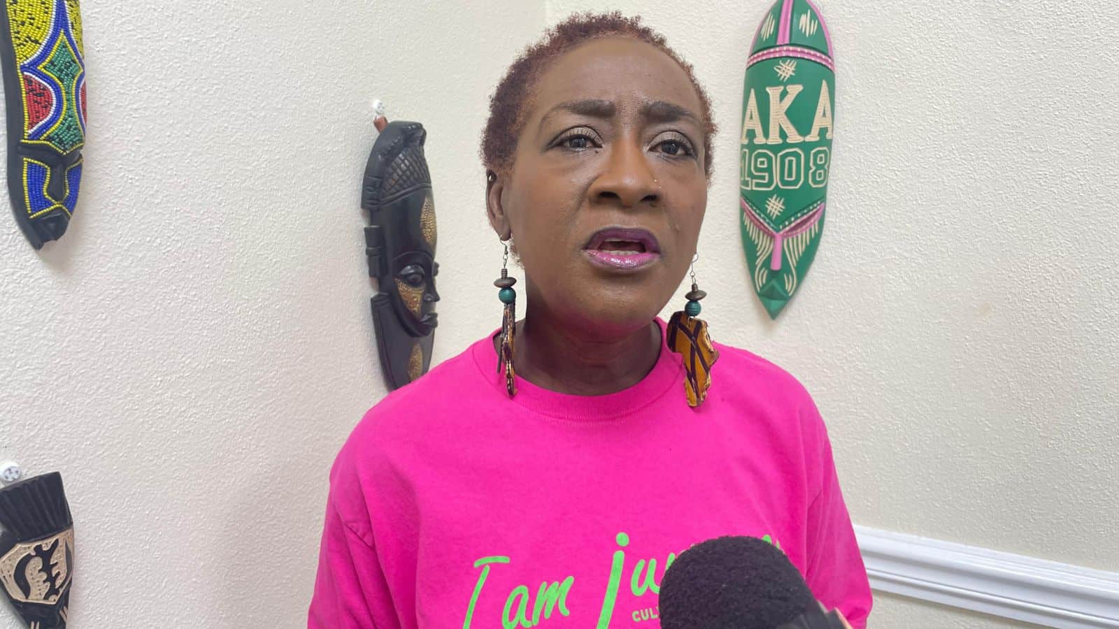 "The Bill Will Not Water Down Junkanoo, It Will Take It Beyond Our ...