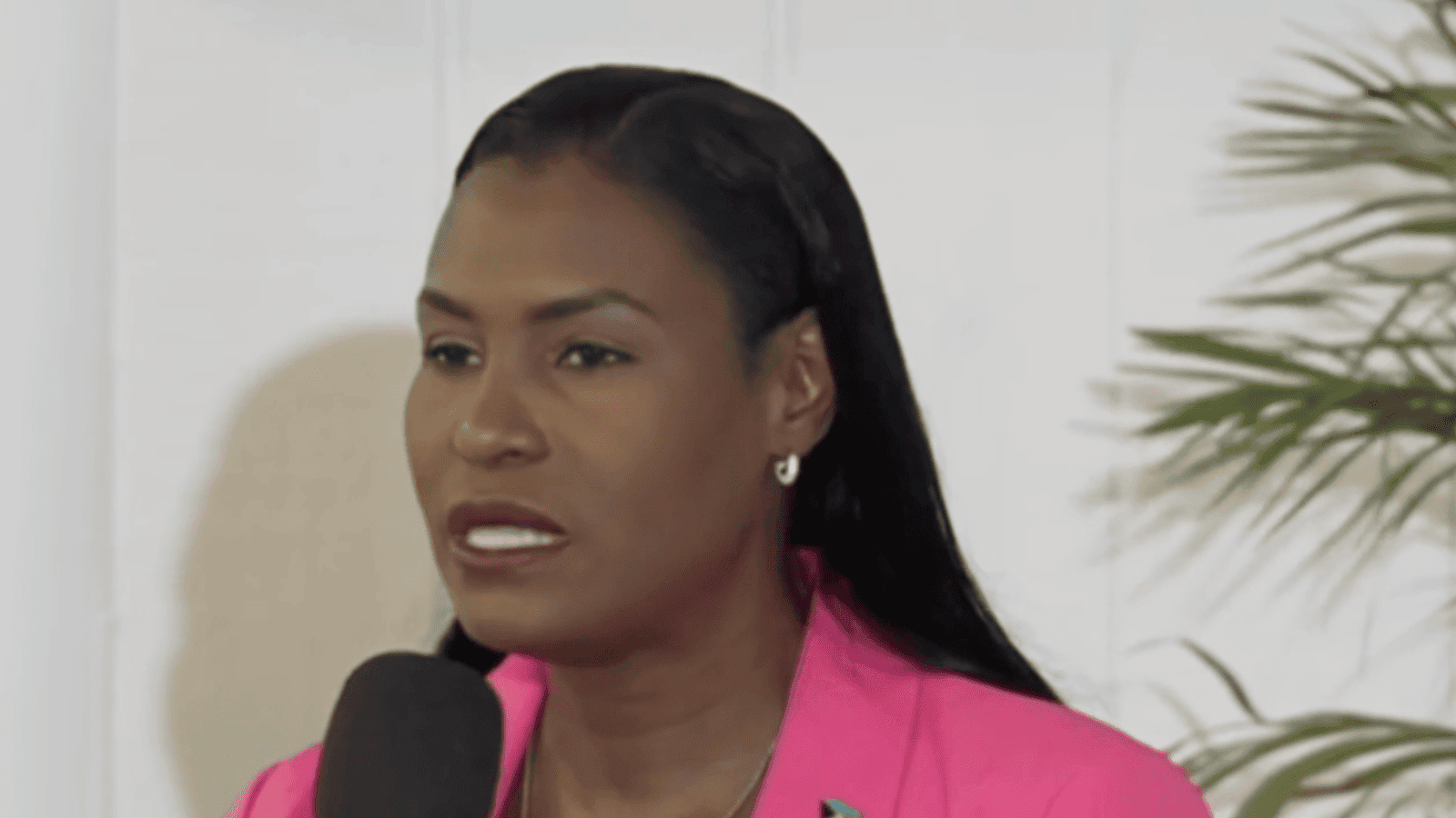 Labour Minister: No Recommendation From National Tripartite Council Yet ...