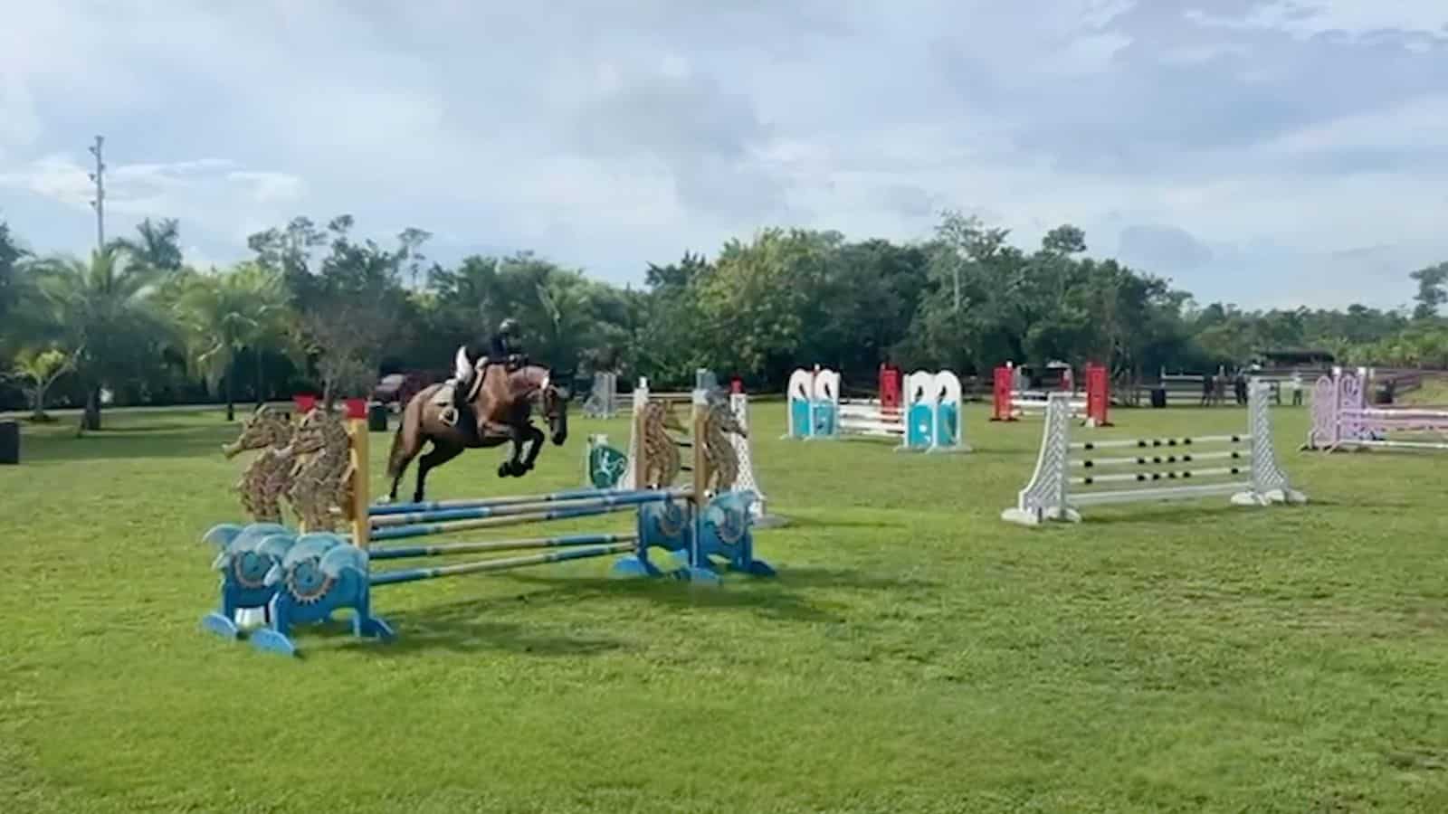 Coello Claims Top Spot at FEI Jumping Challenge - Our News