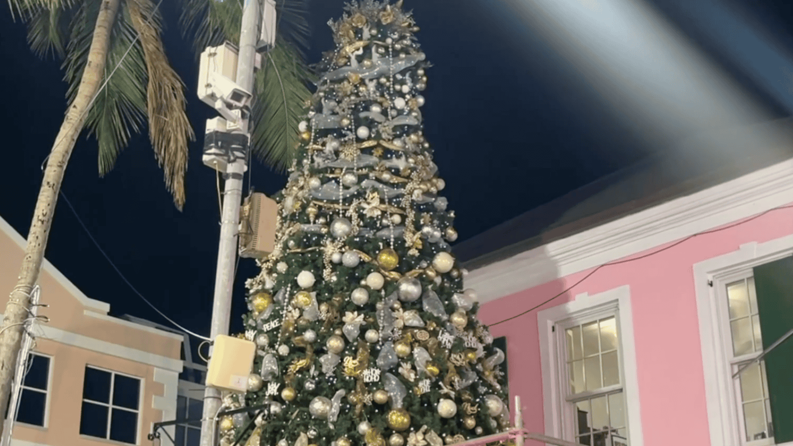 Nat'l Christmas Tree Lighting And Practice Rush Takes Over Bay - Our News