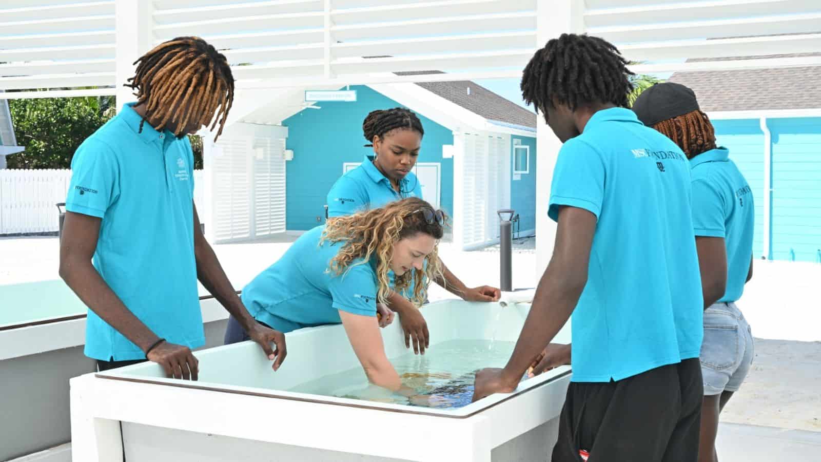 Bahamian Marine Science Students Train at MSC Foundation’s Marine ...